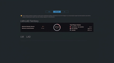 Cleerly Non-Invasive Ischemia Analysis